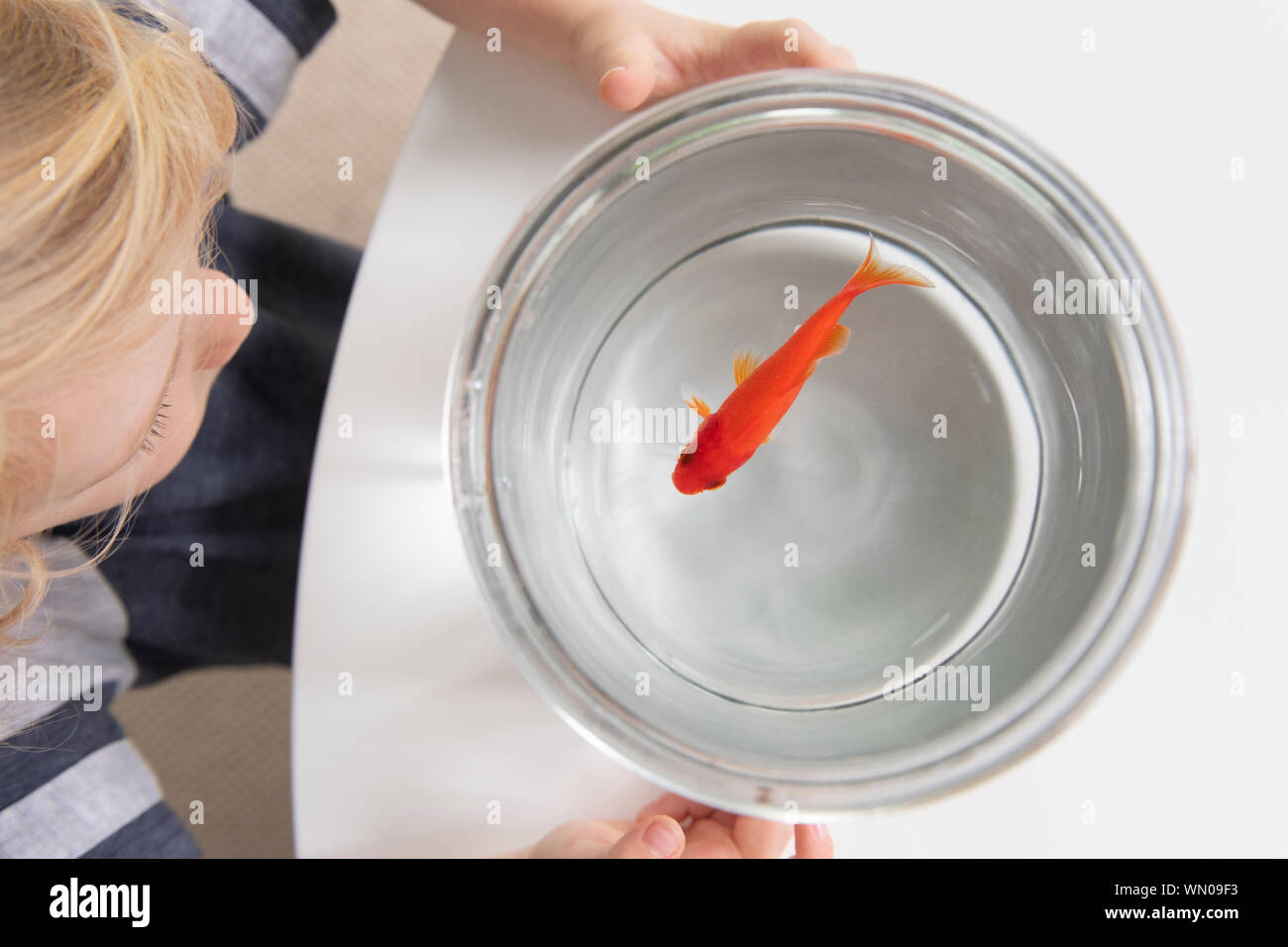 Fishbowl table hi-res stock photography and images - Alamy