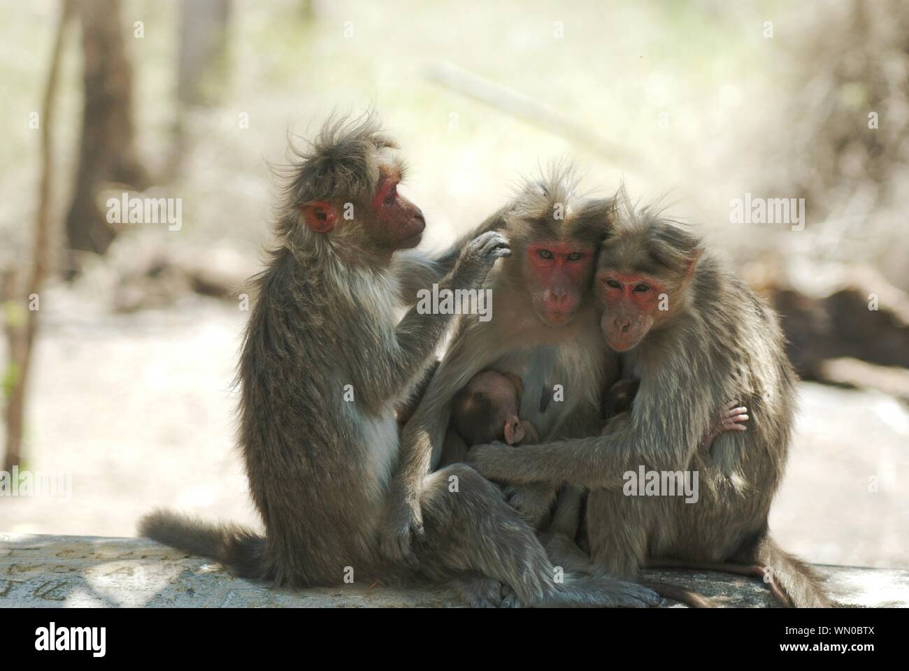 Group huddled together hi-res stock photography and images - Alamy