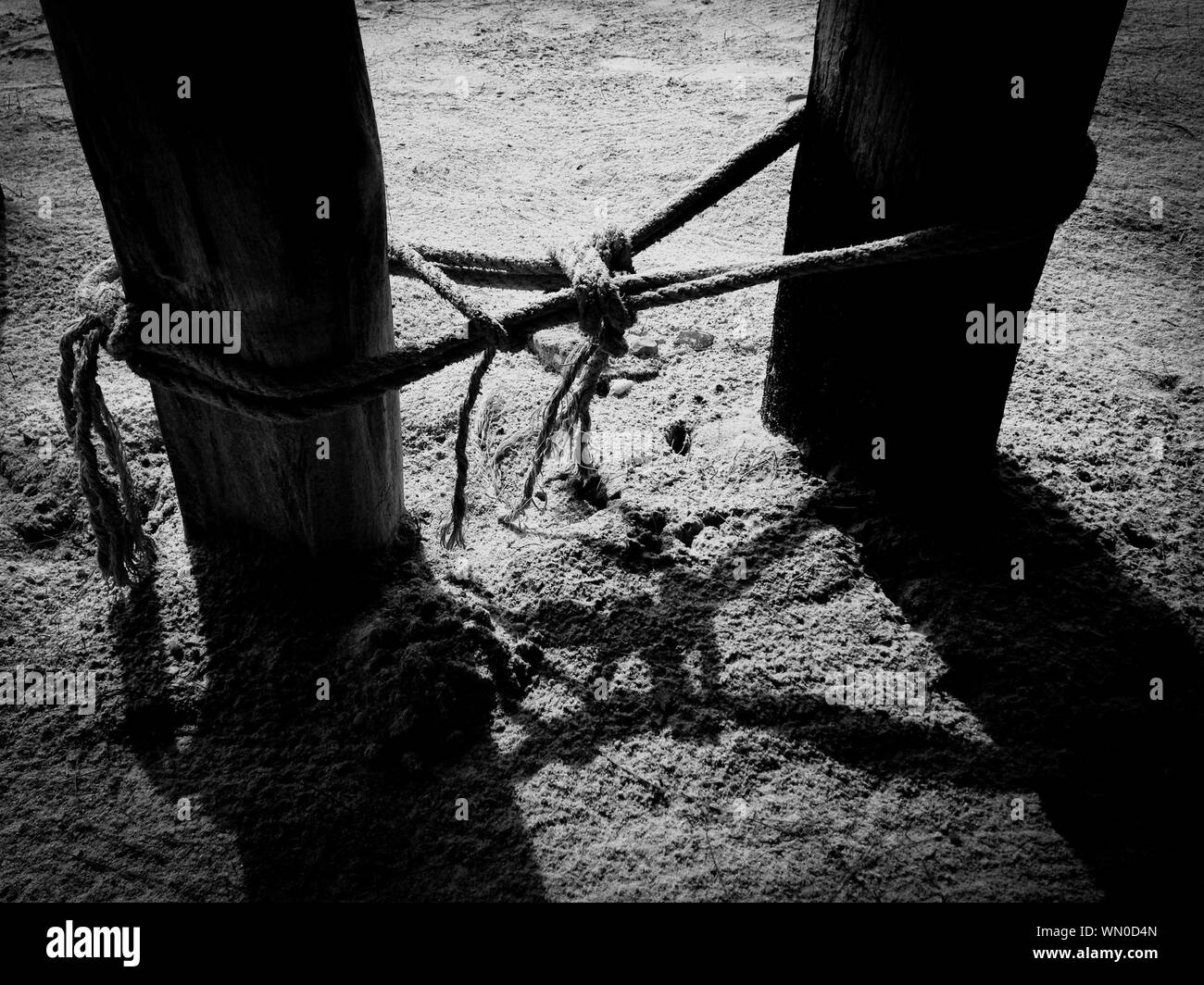 Tied to posts hi-res stock photography and images - Alamy