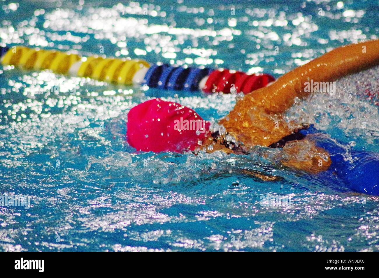 Swimmer diving into pool hi-res stock photography and images - Alamy