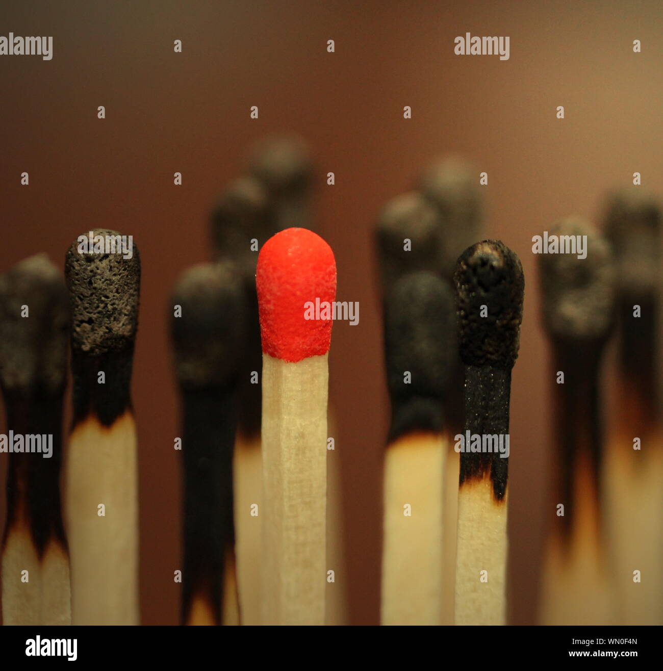 Made of matchsticks hi-res stock photography and images - Alamy