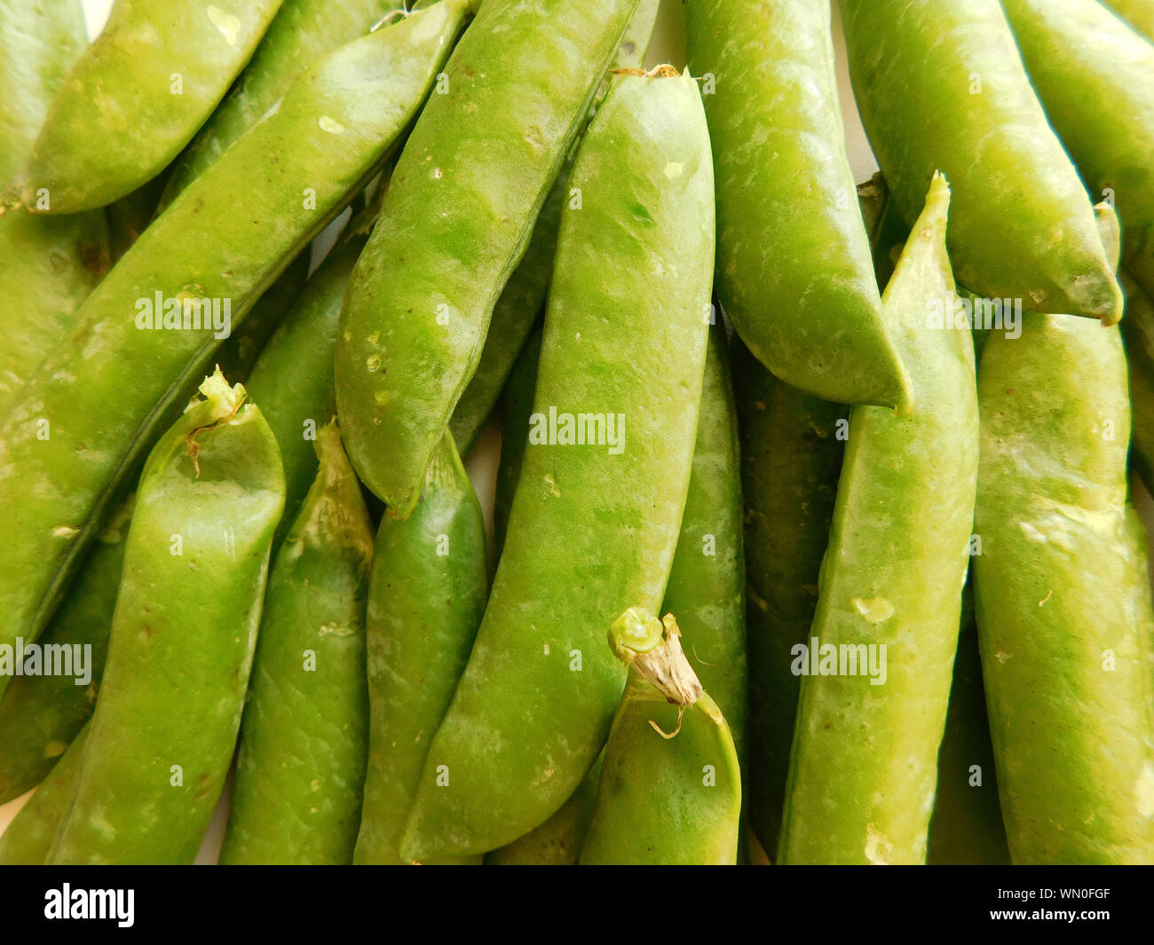Pea frame hi-res stock photography and images - Alamy