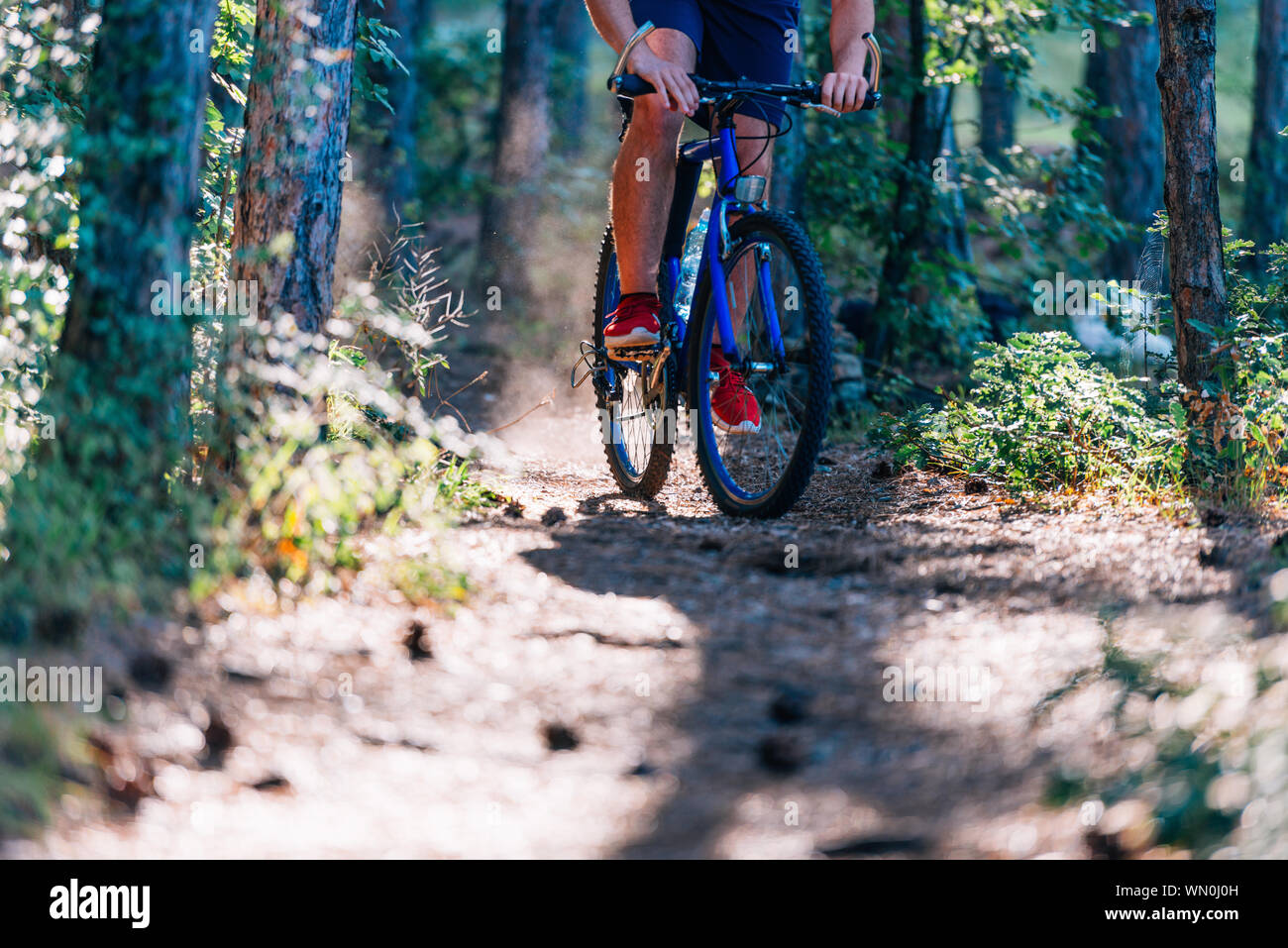 Man on mountain bike rides on the trail through the woods while moving ...