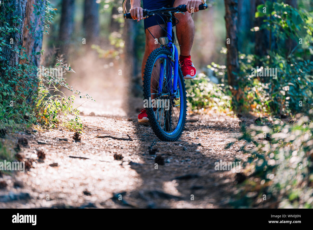 Man on mountain bike rides on the trail through the woods while moving ...