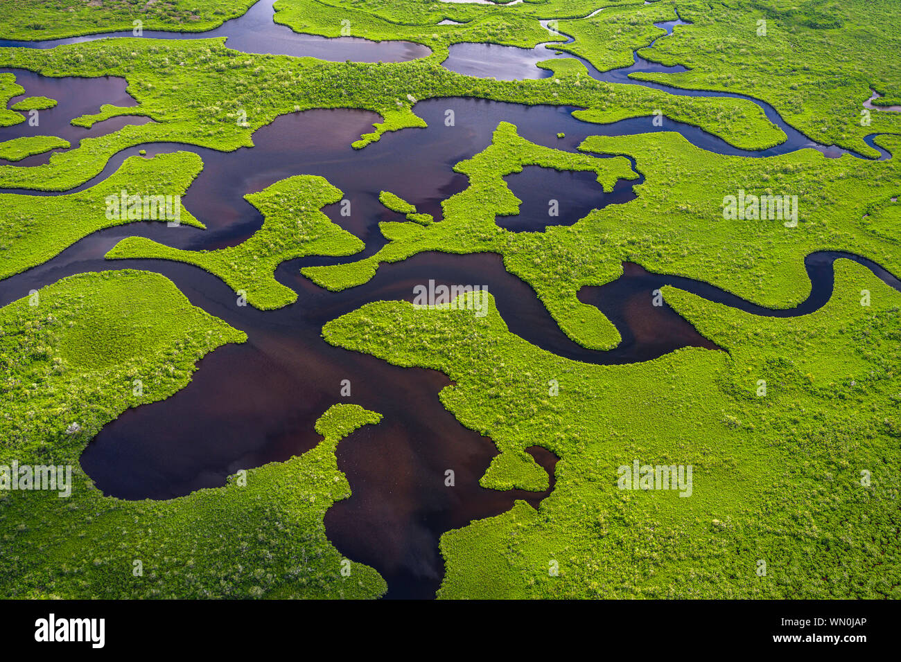 Aerial view of Everglades National Park in Florida, USA Stock Photo - Alamy