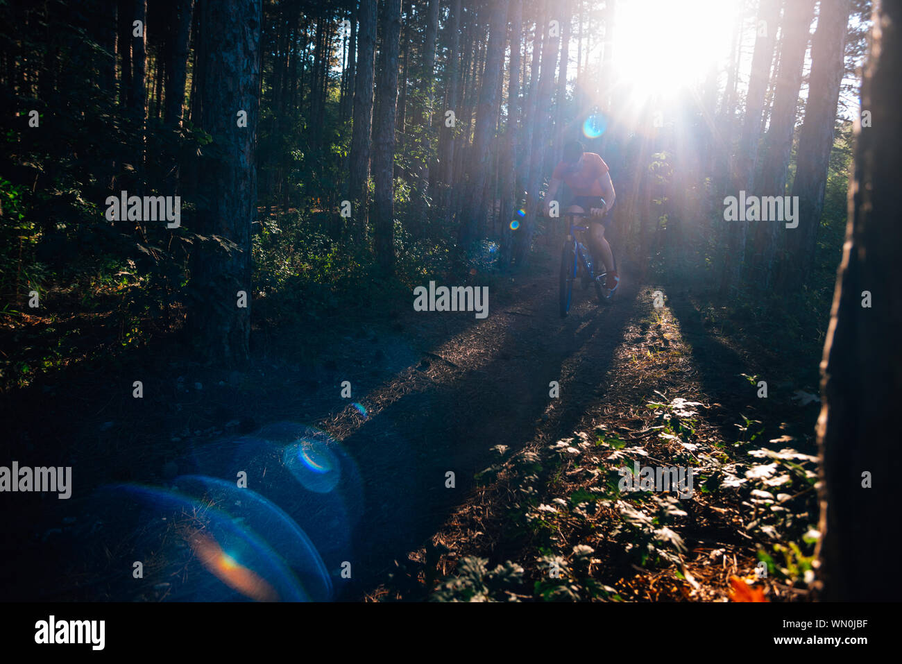 Hard dirt bike trail hi-res stock photography and images - Alamy