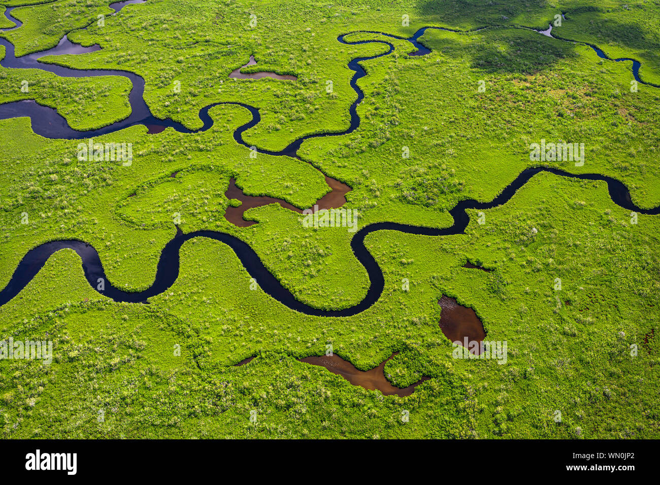 Aerial view of Everglades National Park in Florida, USA Stock Photo - Alamy