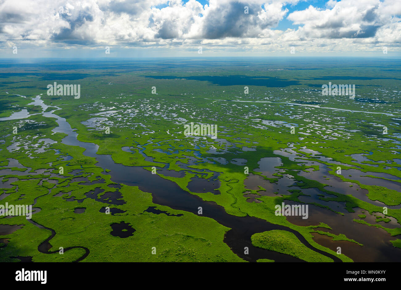 Aerial view of Everglades National Park in Florida, USA Stock Photo - Alamy