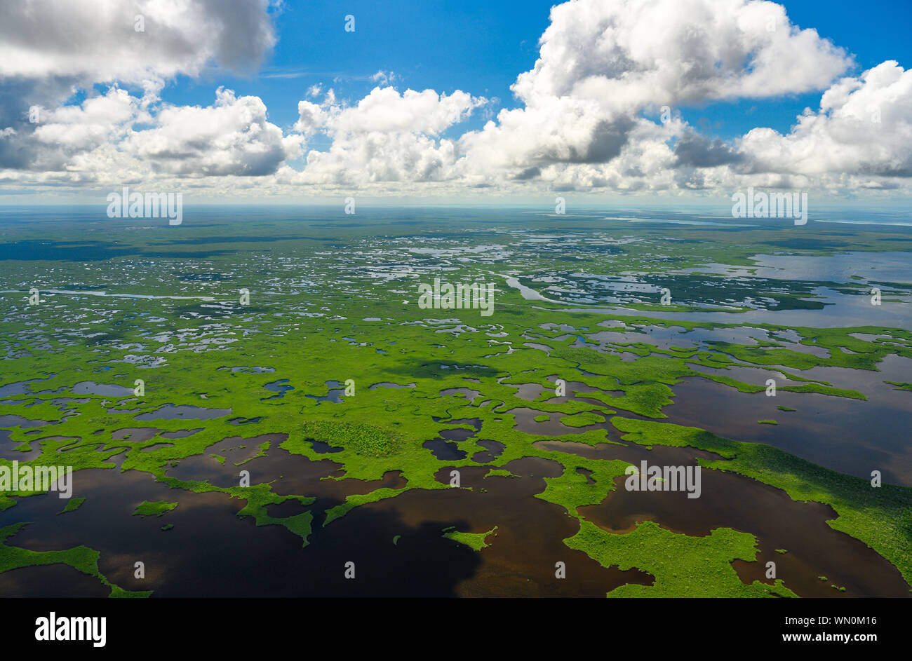 Aerial view of Everglades National Park in Florida, USA Stock Photo - Alamy