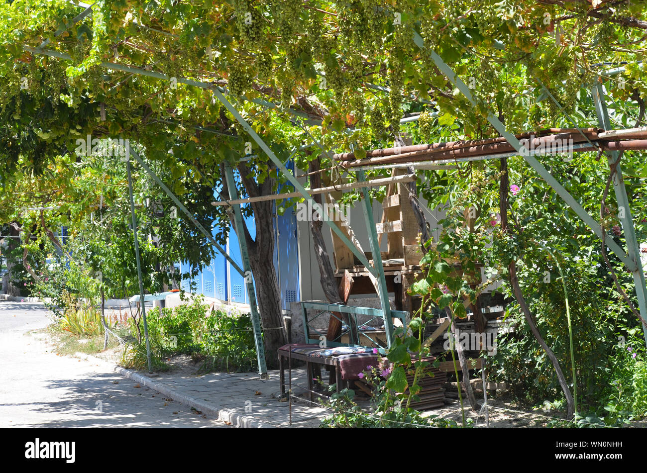 Streets of Samarkand, Uzbekistan Stock Photo - Alamy