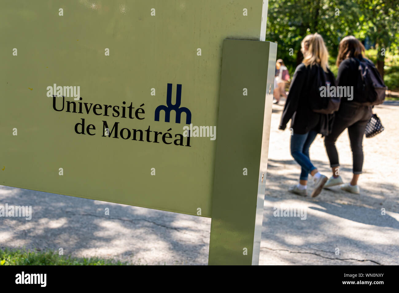 Back view university hi-res stock photography and images - Alamy