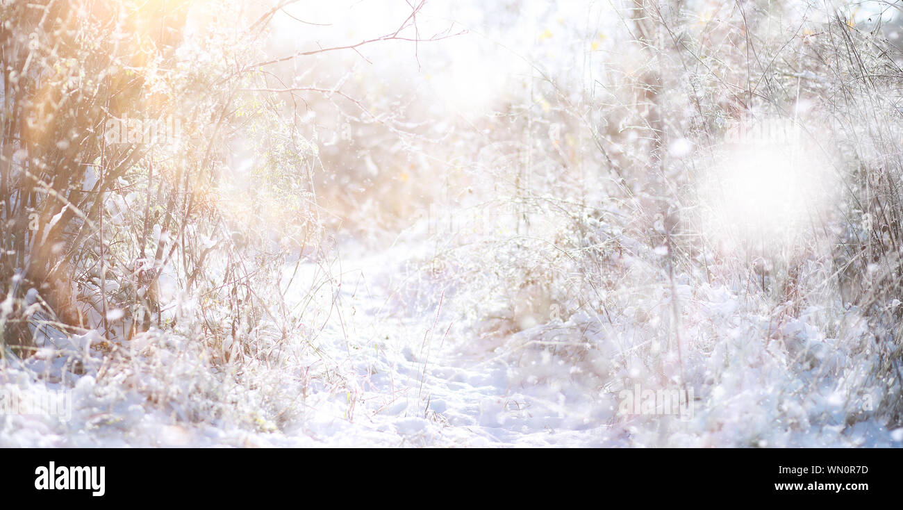 Winter Park. Landscape in snowy weather. January Stock Photo - Alamy