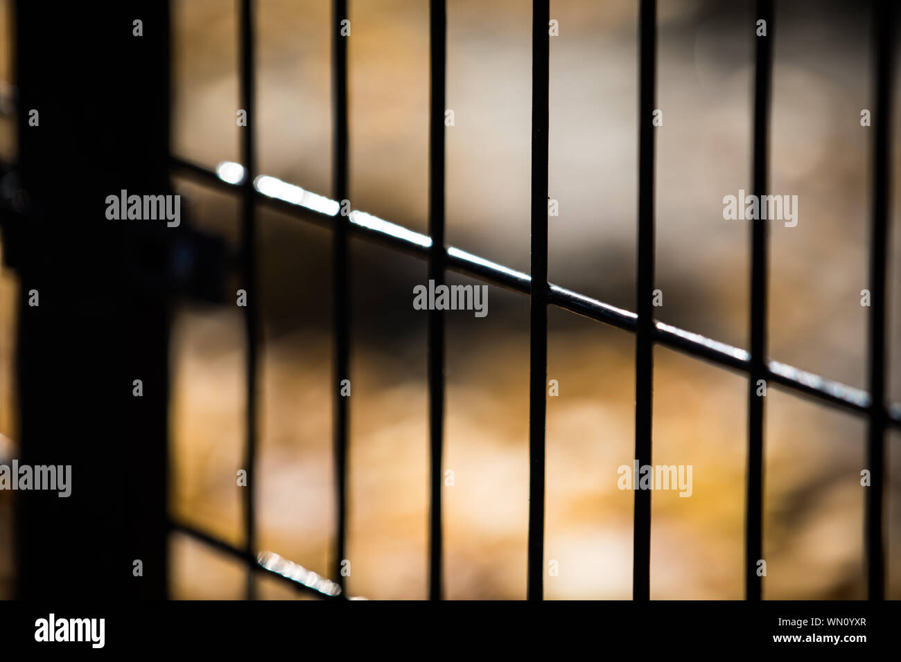 Security bar hi-res stock photography and images - Alamy