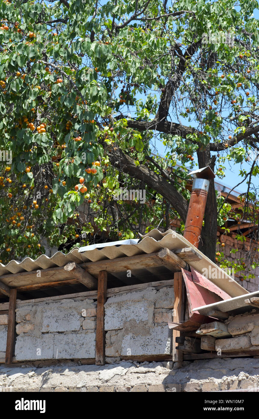 Samarkand architecture soviet modern hi-res stock photography and ...