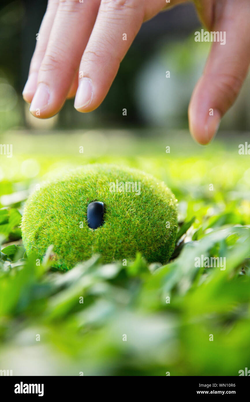 Hand holding moss hi-res stock photography and images - Alamy