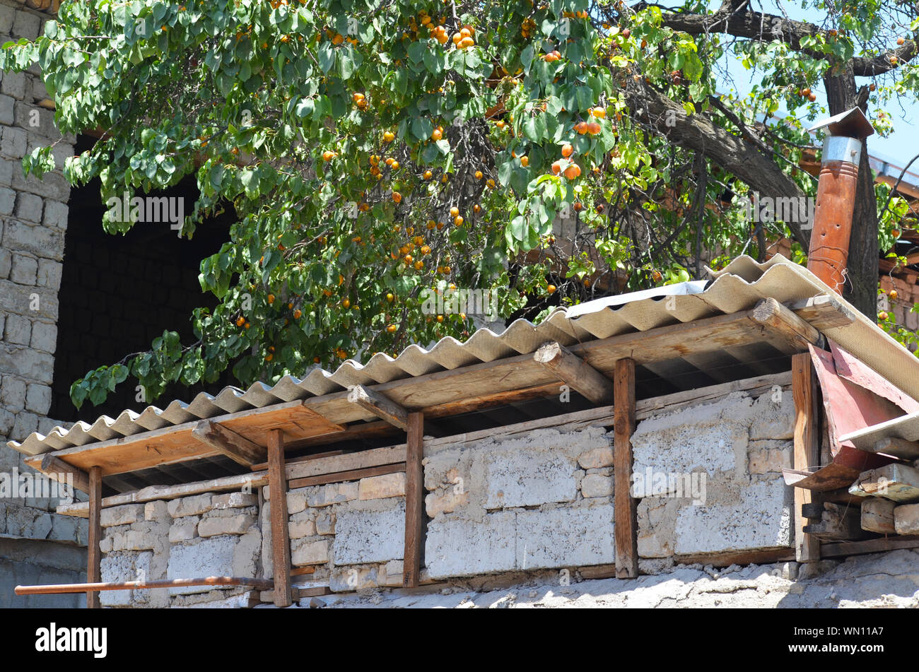 Samarkand architecture soviet modern hi-res stock photography and ...