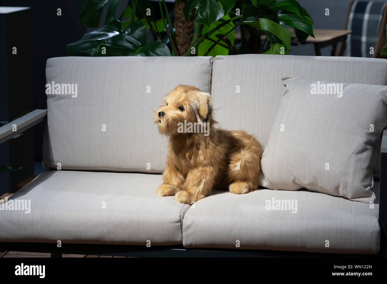 Sony Press Conference IFA 2019 Stock Photo - Alamy