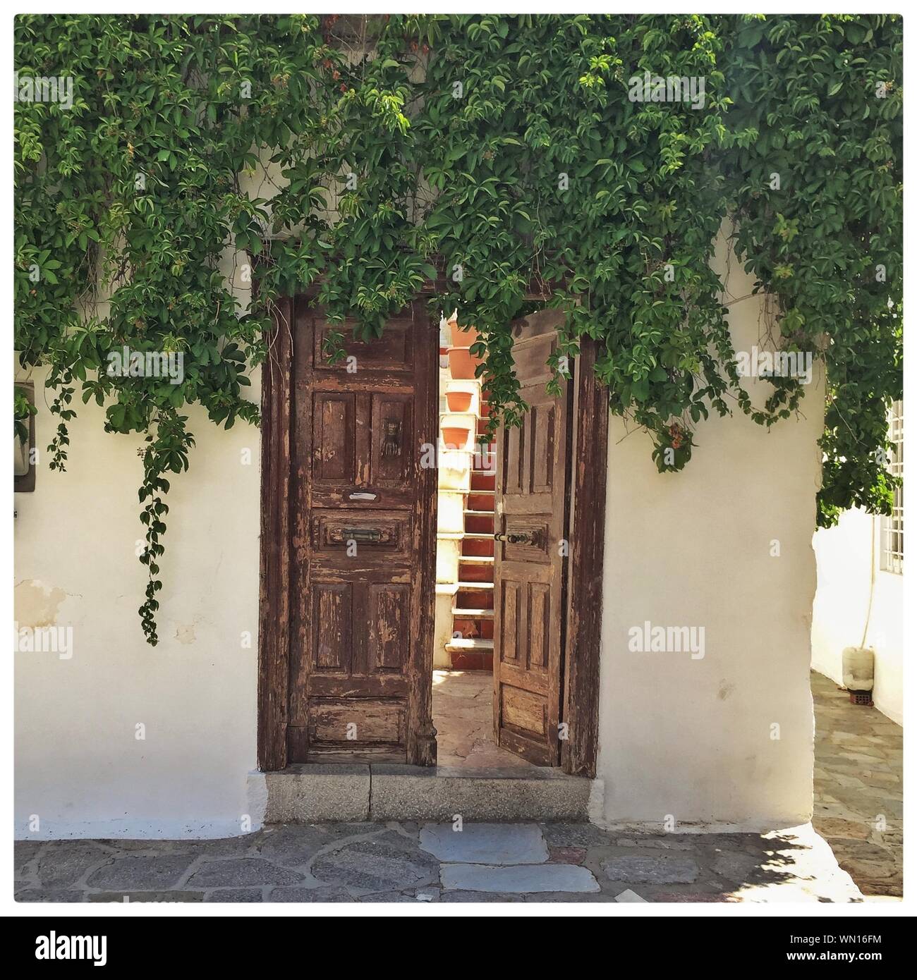 Plants growing on structure Cut Out Stock Images & Pictures - Alamy