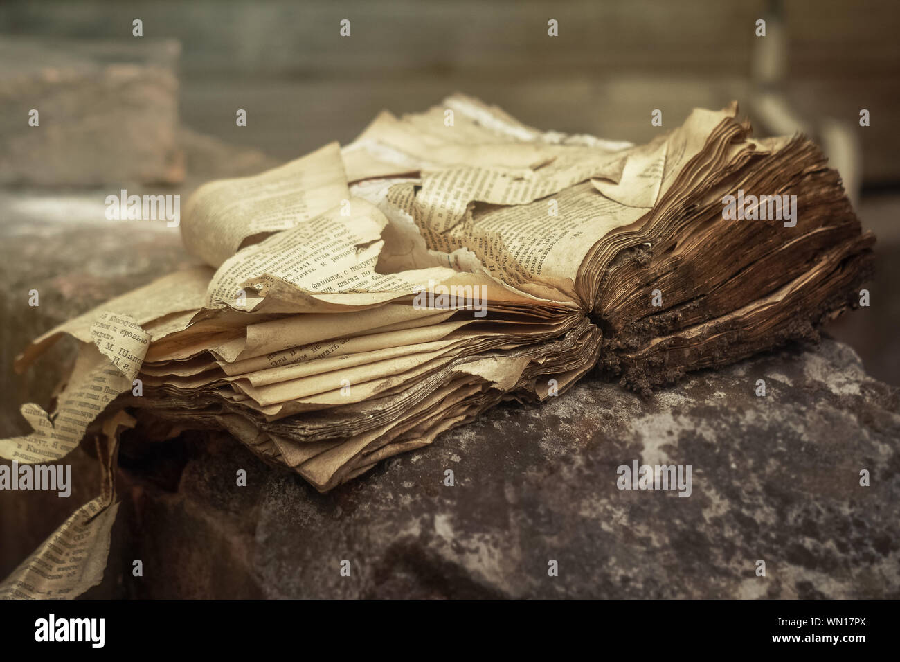 Damaged book hi-res stock photography and images - Alamy