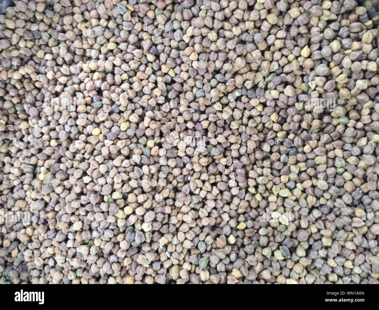 Pluses hi-res stock photography and images - Alamy