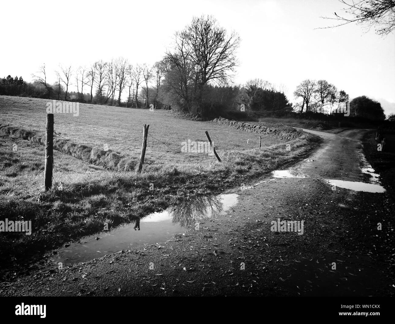 Clear puddle hi-res stock photography and images - Alamy