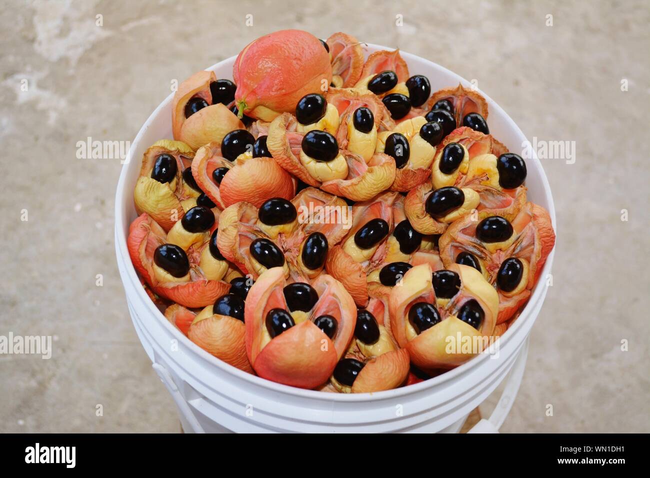 Ackee High Resolution Stock Photography and Images - Alamy