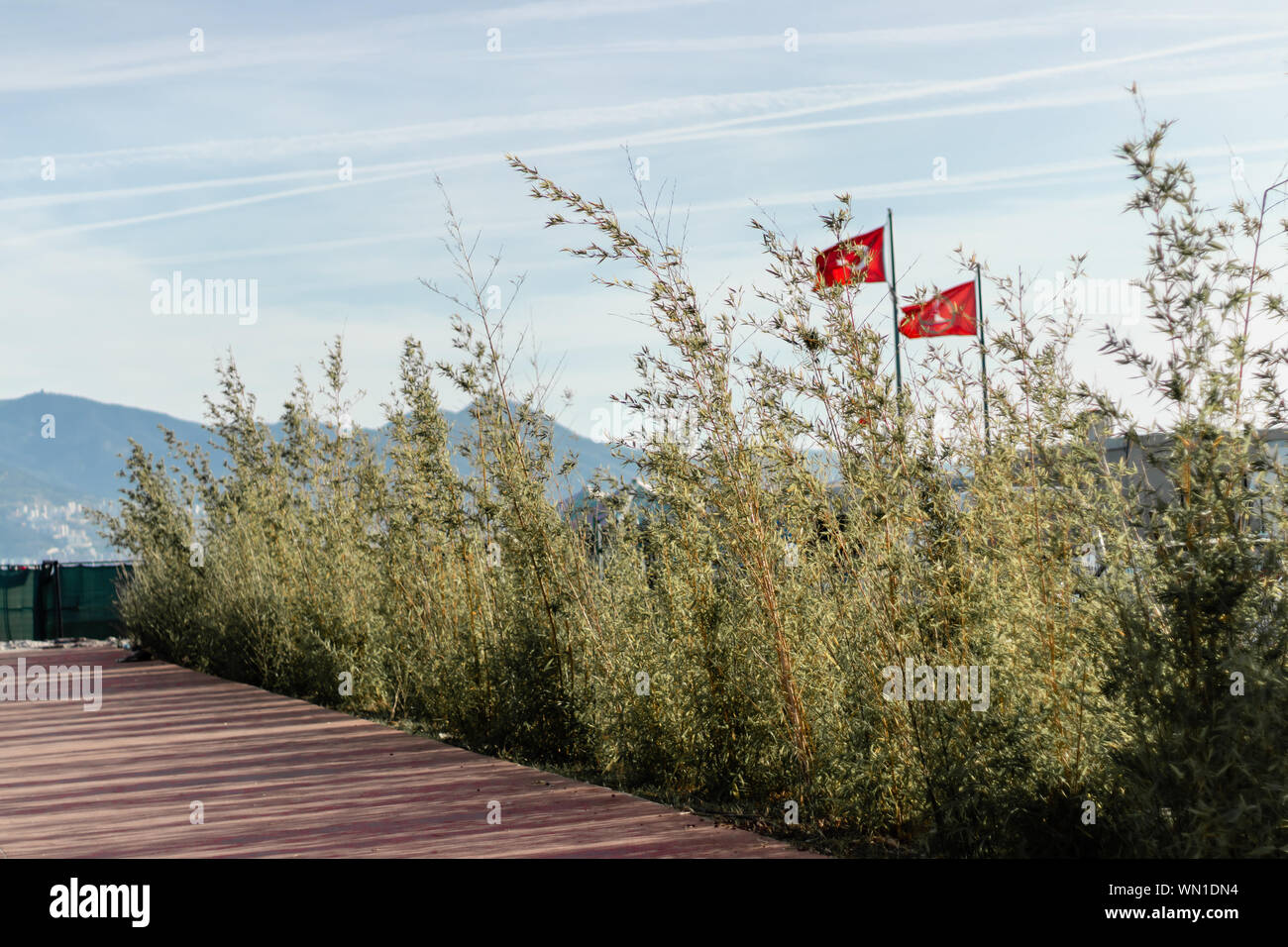 a wide green park scene from a aegean coast - turkish flags. photo has ...