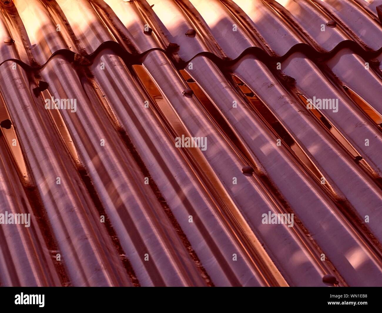 Corrugated iron shiny roof hi-res stock photography and images - Alamy