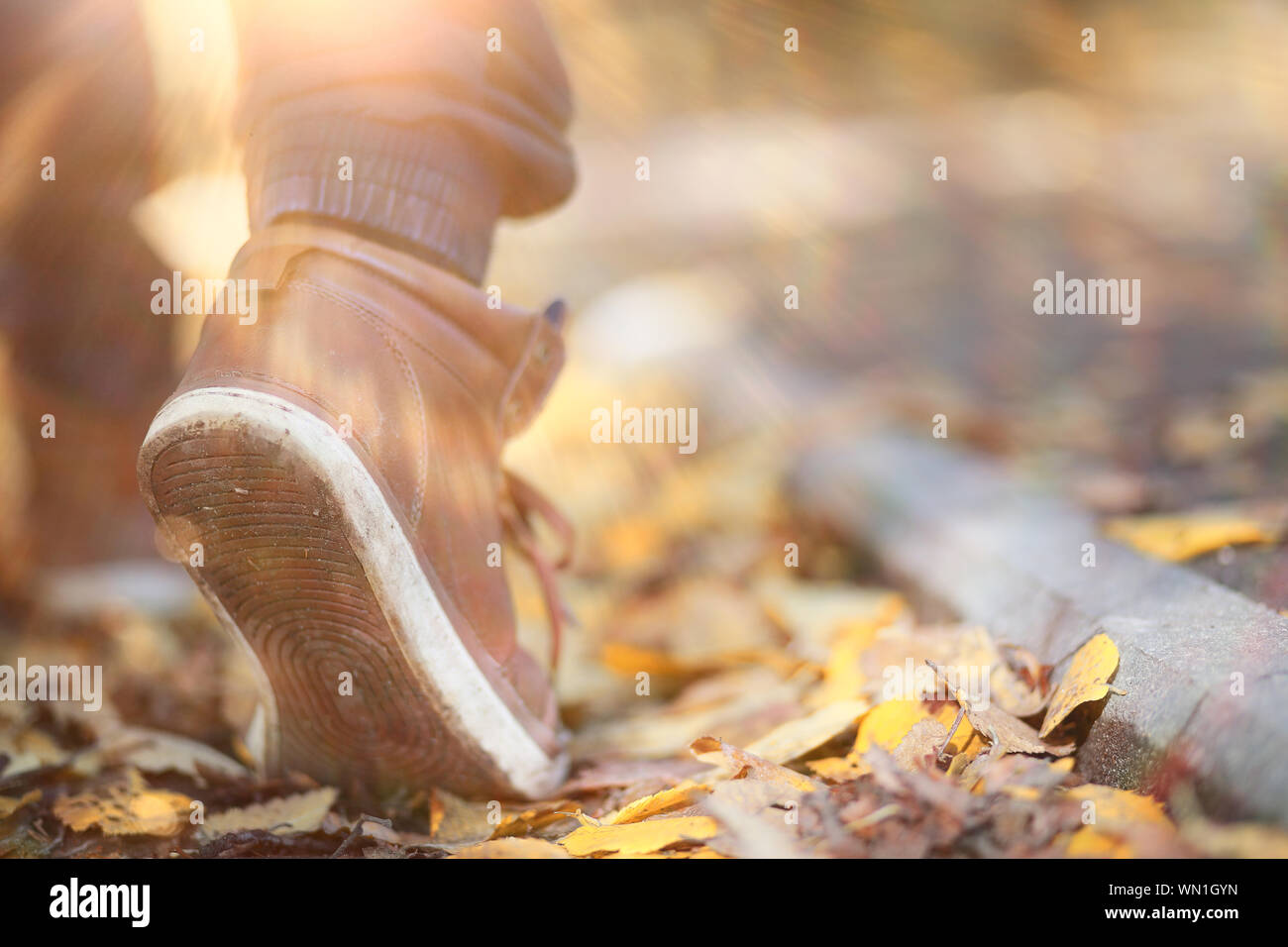 Autumn Park man walking along a path foliage Stock Photo - Alamy