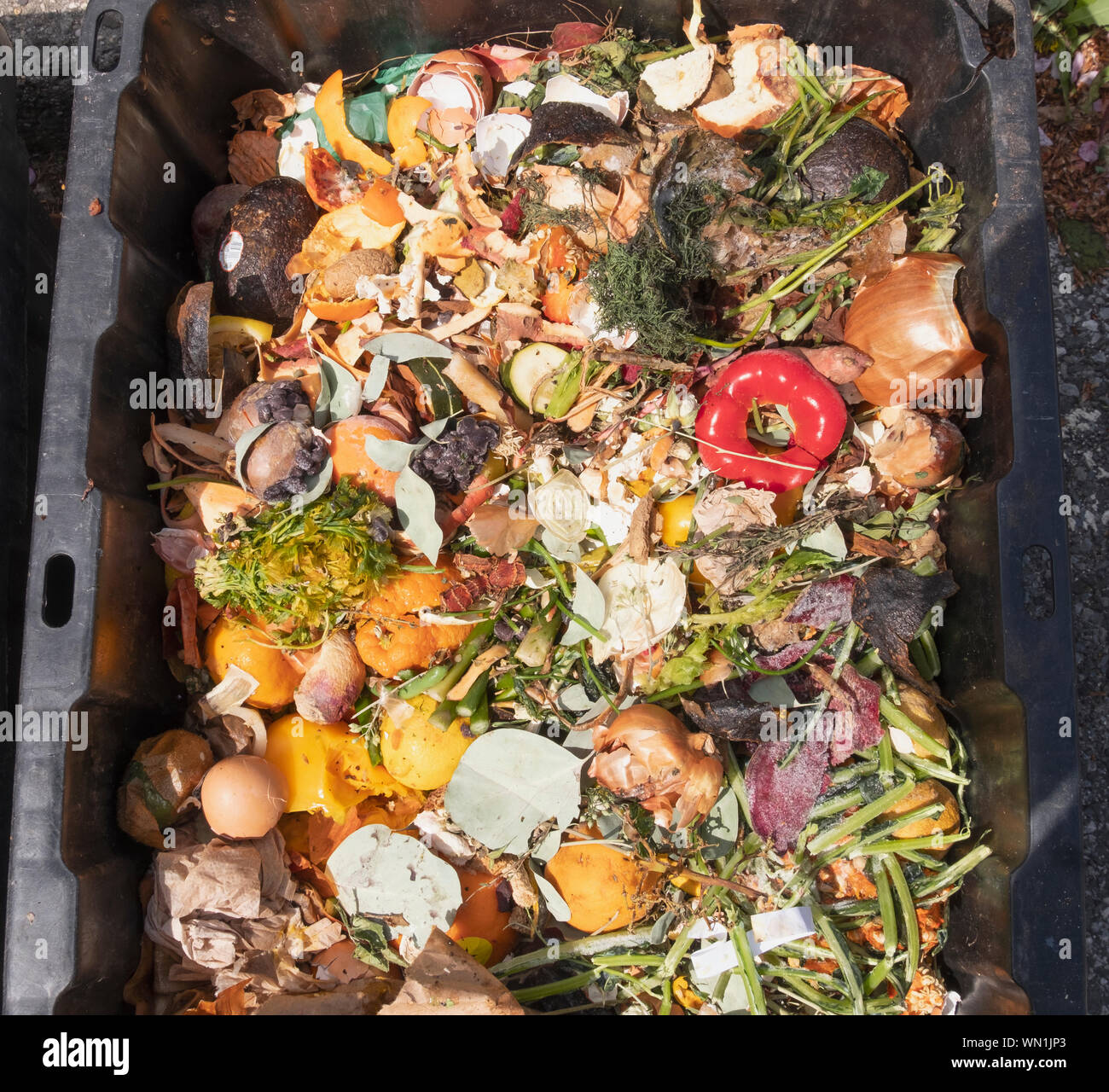Leftovers container hi-res stock photography and images - Alamy
