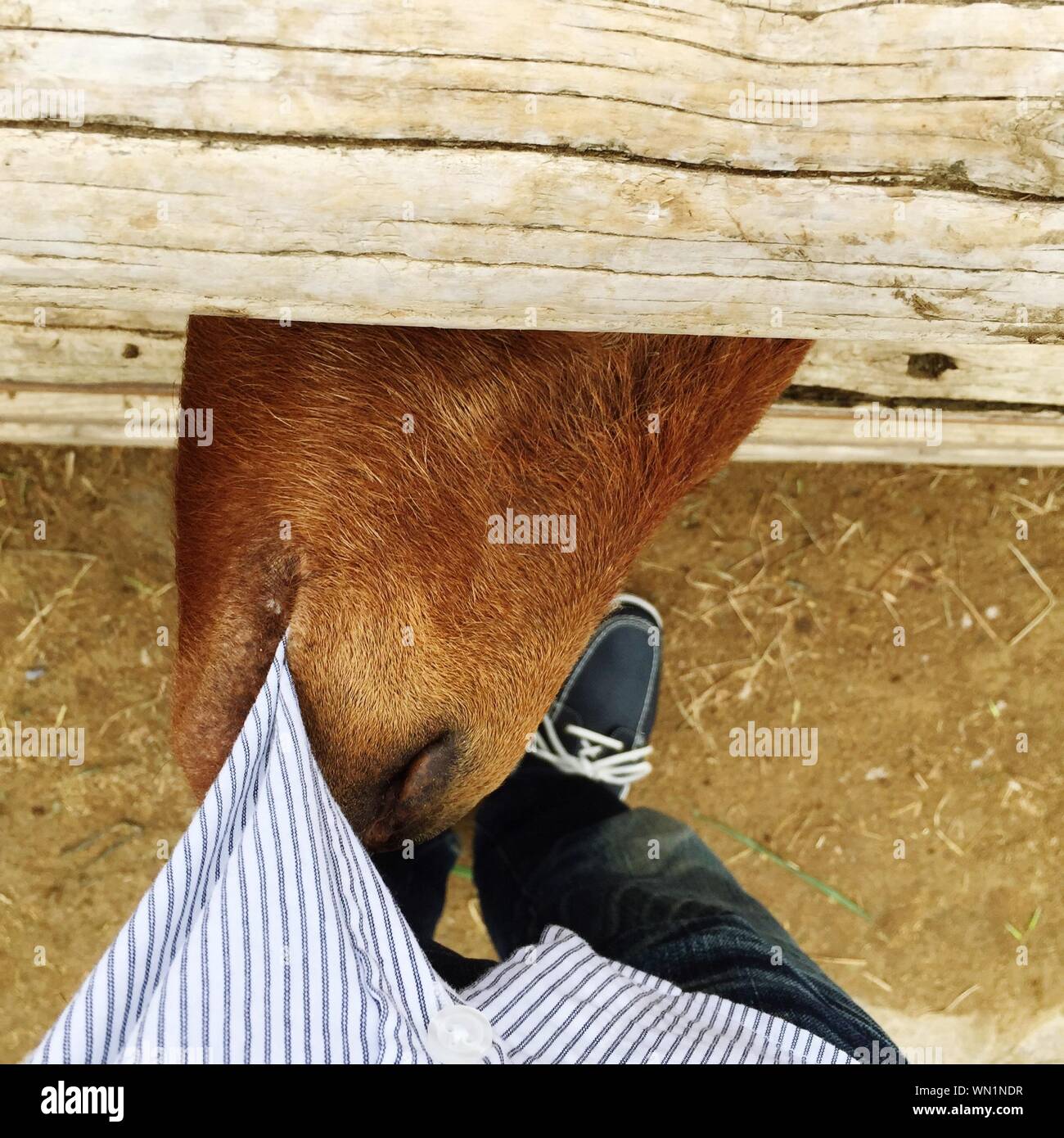 Safari activity hi-res stock photography and images - Alamy