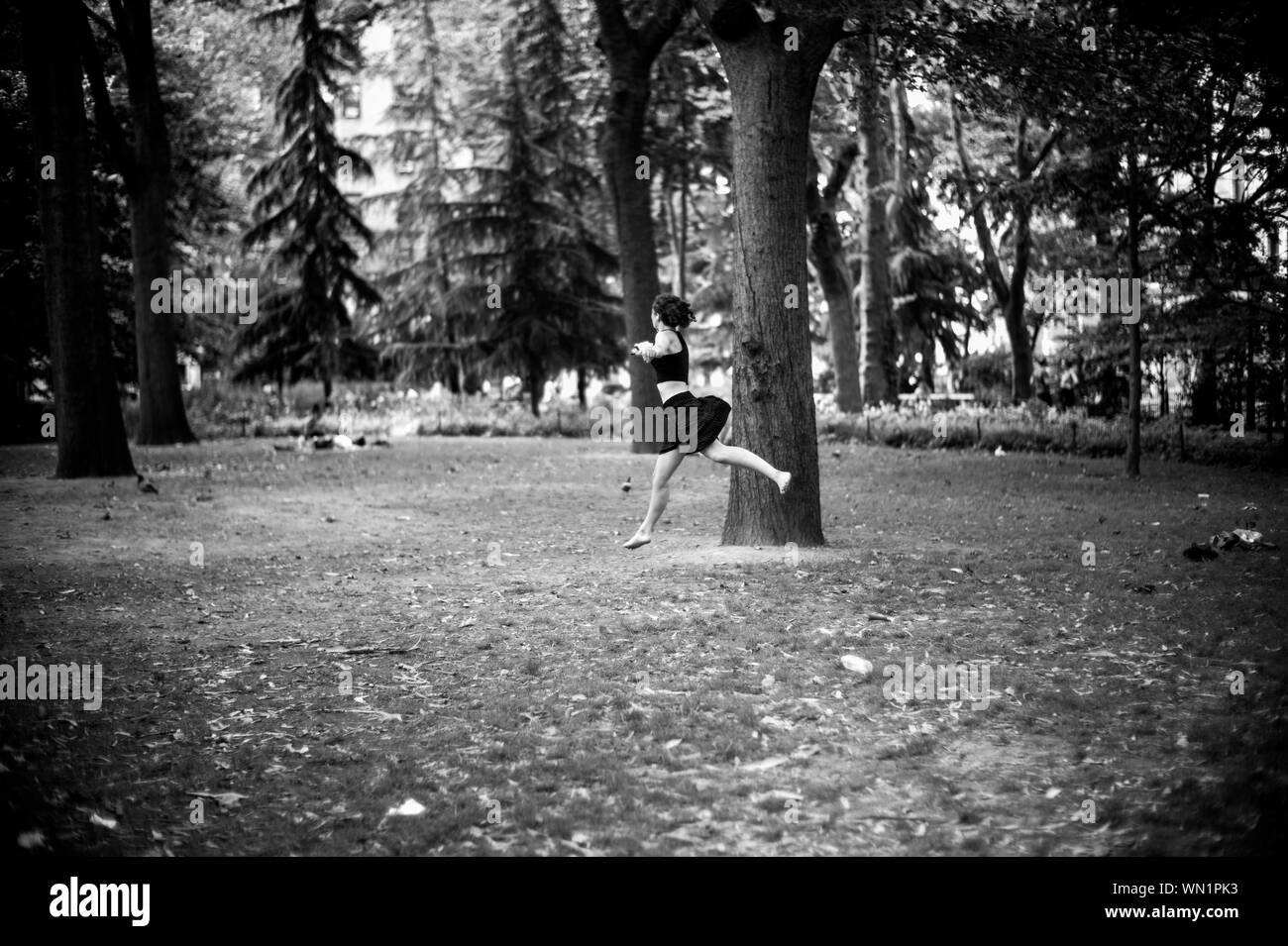 Dancing trees hi-res stock photography and images - Alamy