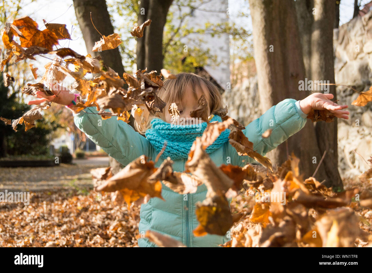 Children playing leaves hi-res stock photography and images - Alamy