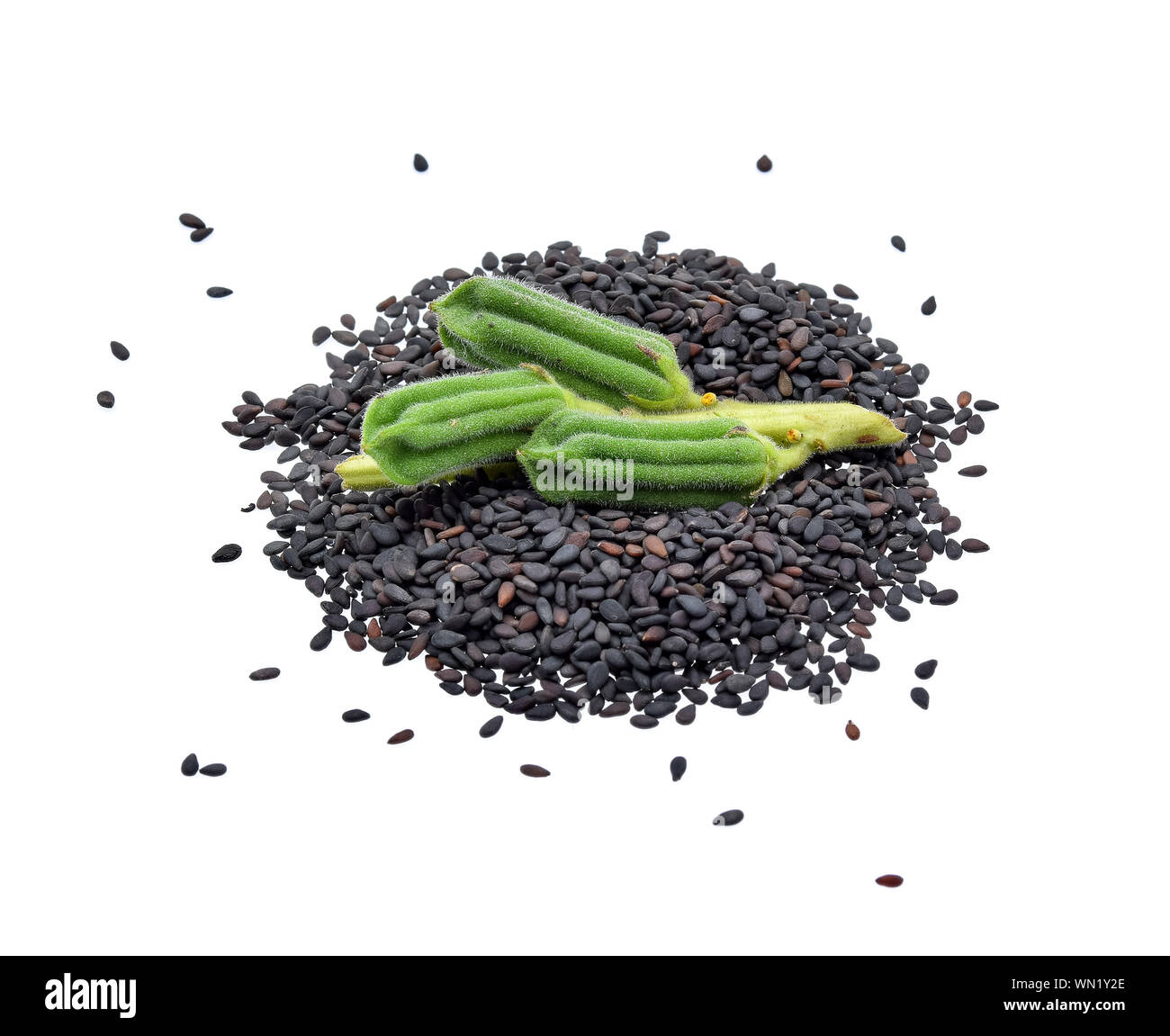 Seeds and vegetables hi-res stock photography and images - Alamy