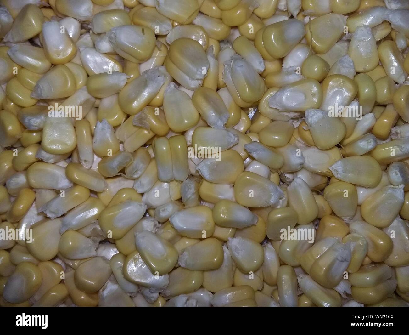 Corn kernels hi-res stock photography and images - Alamy