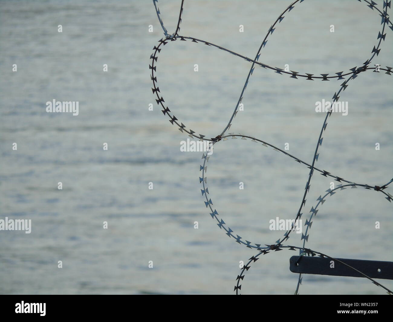 Tangled barbed wire hi-res stock photography and images - Alamy