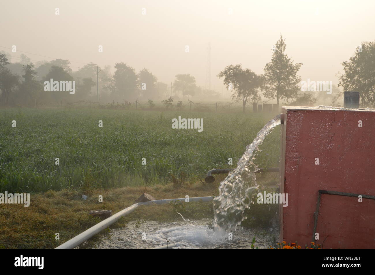 Water tank on tree hi-res stock photography and images - Alamy