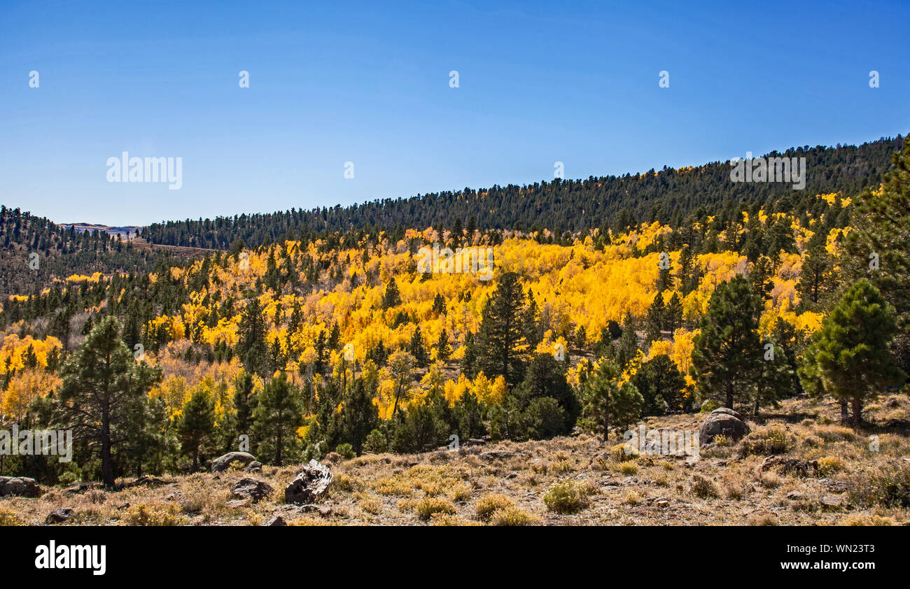 Fall landscape Utah 2 Stock Photo - Alamy