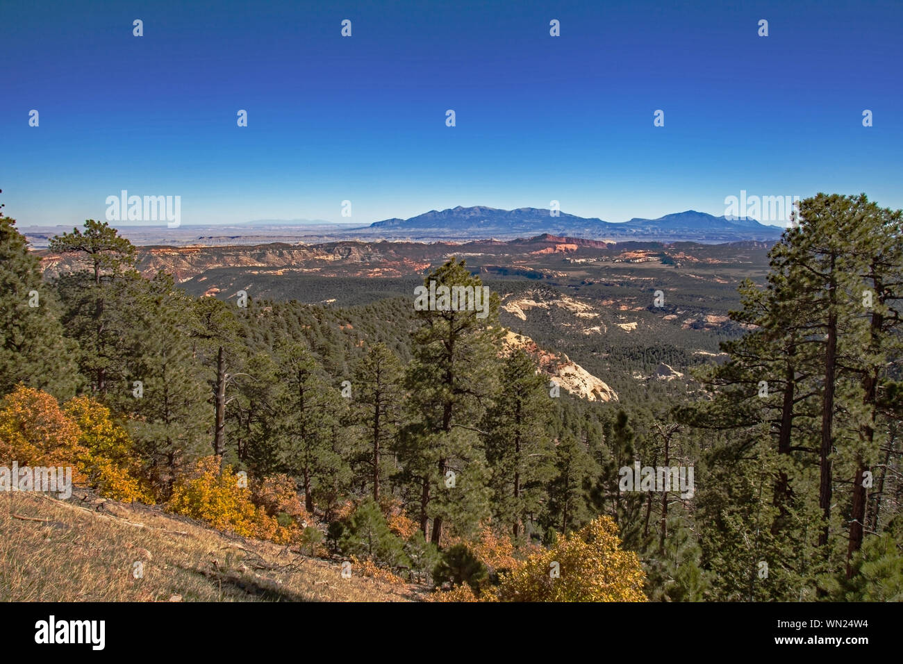 Fall seasons nature landscape hi-res stock photography and images - Alamy