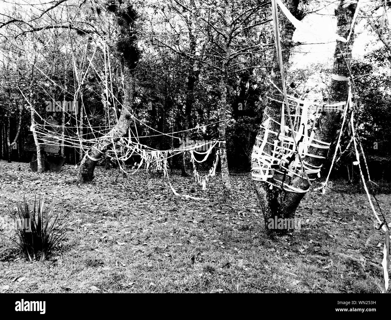 Rope garden hi-res stock photography and images - Alamy
