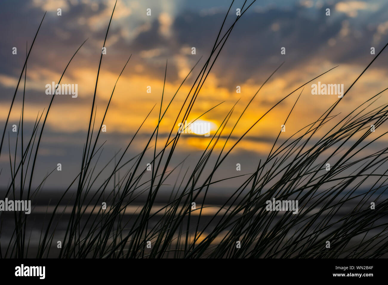 Sun blades hi-res stock photography and images - Alamy