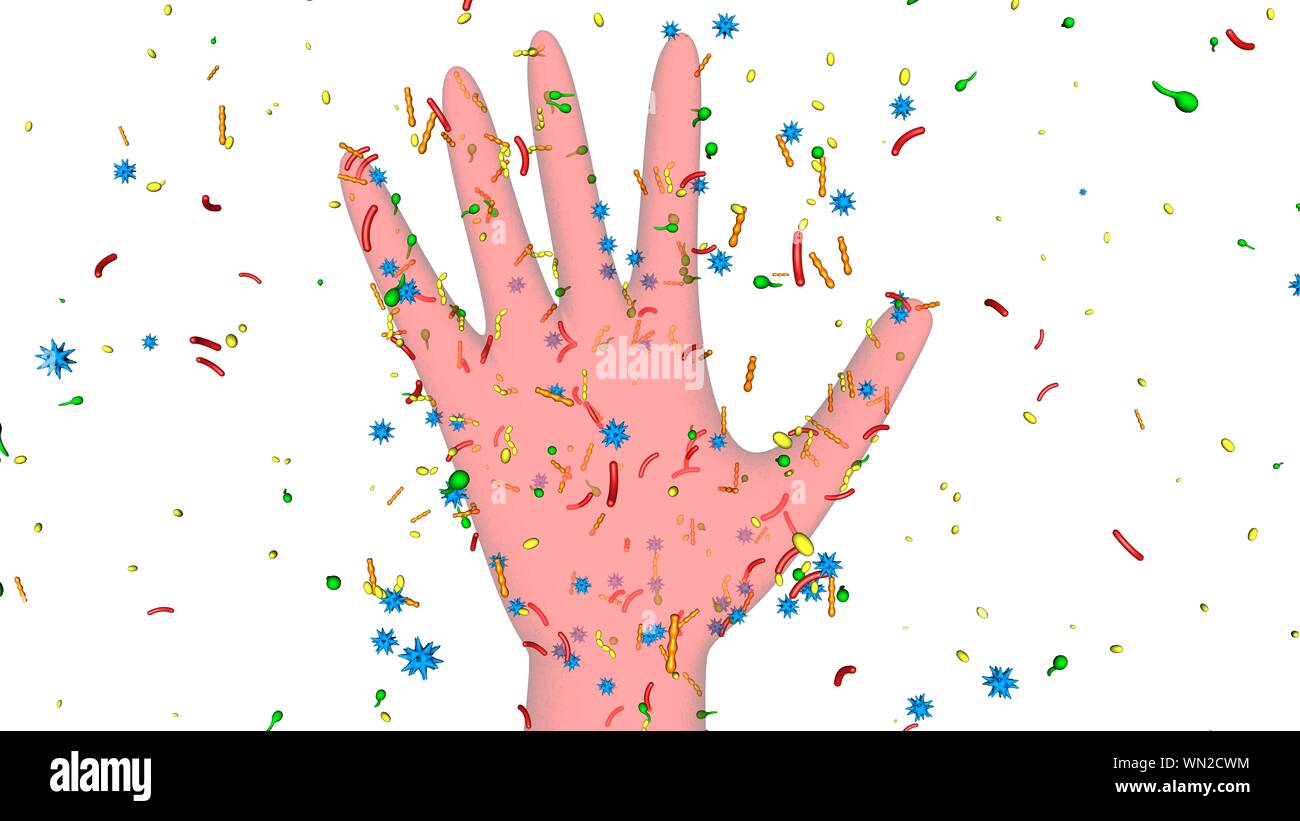Skin microbiota hi-res stock photography and images - Alamy