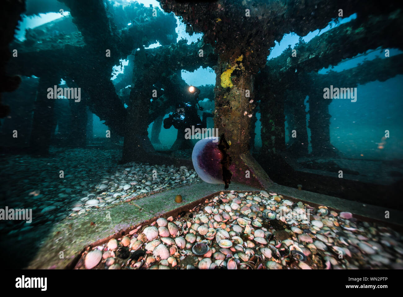 Underwater concrete hi-res stock photography and images - Alamy