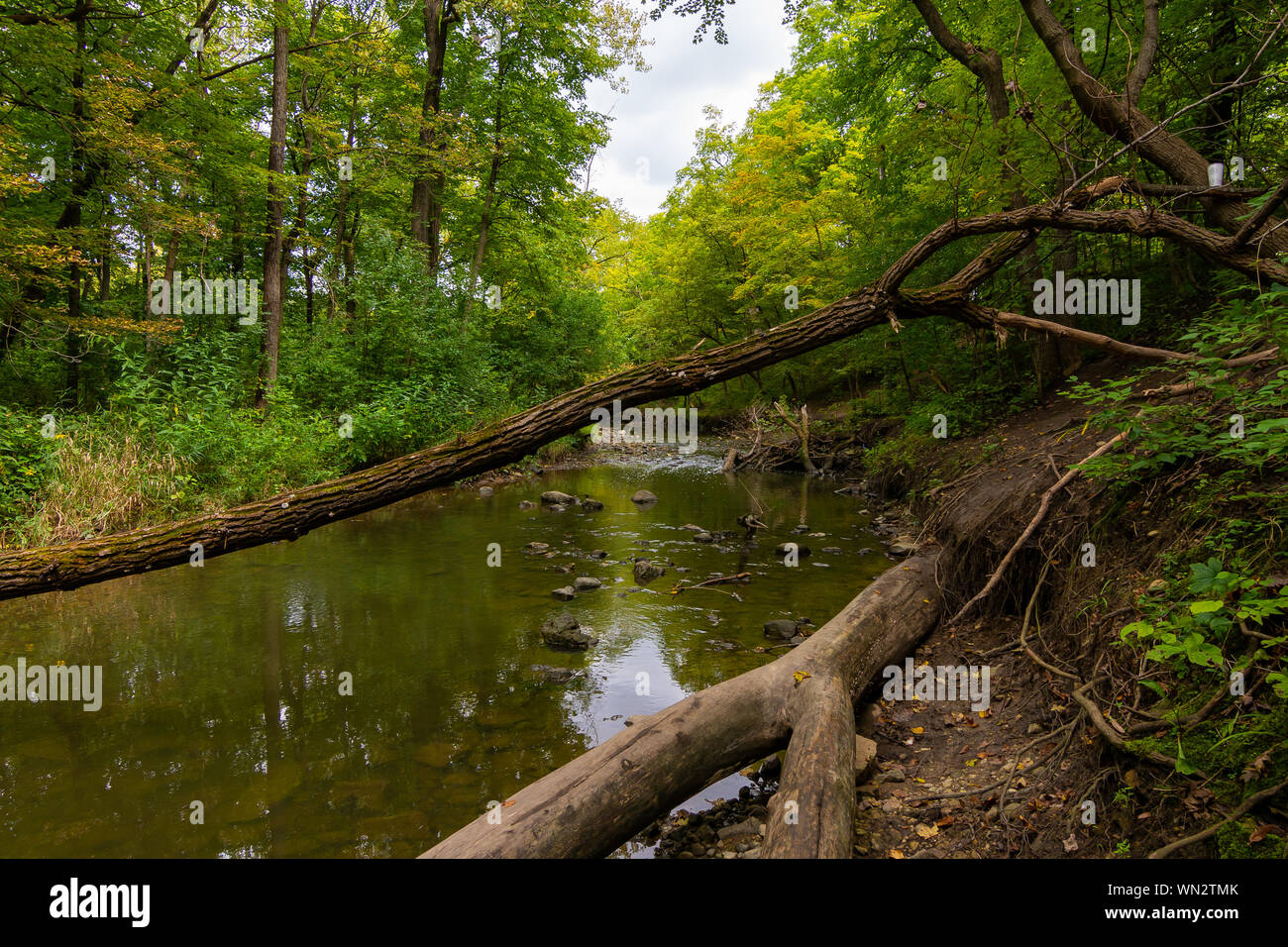 Stream running through Waterfall Glen Forest Preserve. DuPage County ...