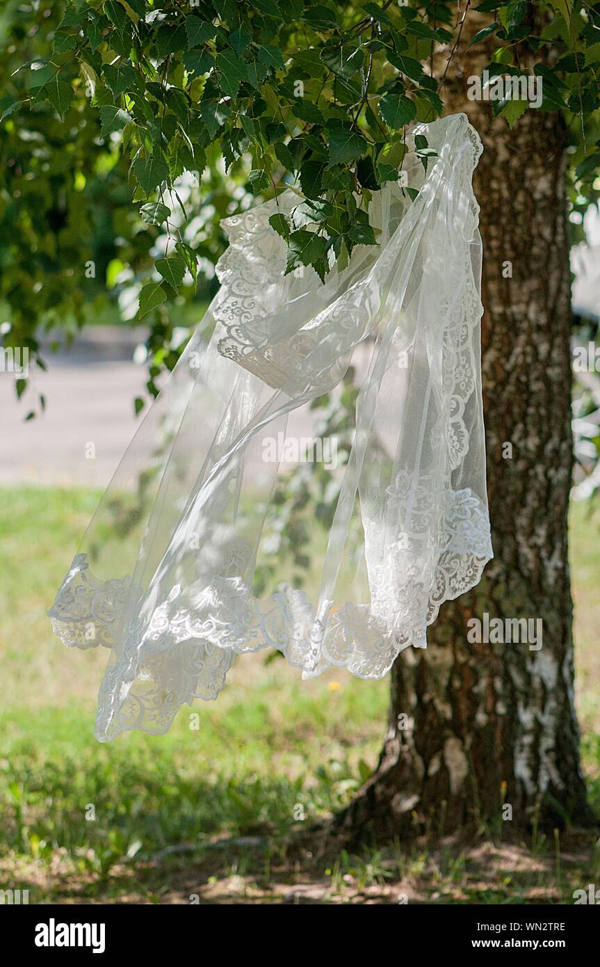 Hanging veil hi-res stock photography and images - Alamy