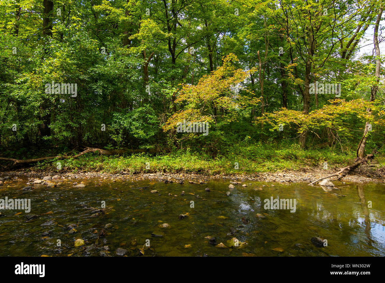 Stream running through Waterfall Glen Forest Preserve. DuPage County ...