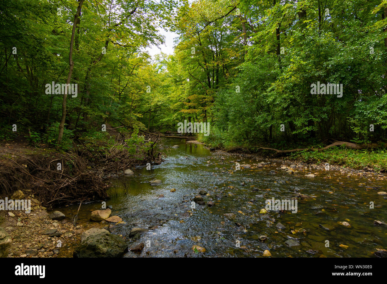 Stream running through Waterfall Glen Forest Preserve. DuPage County ...