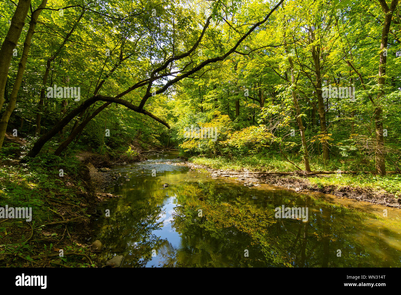 Stream running through Waterfall Glen Forest Preserve. DuPage County ...
