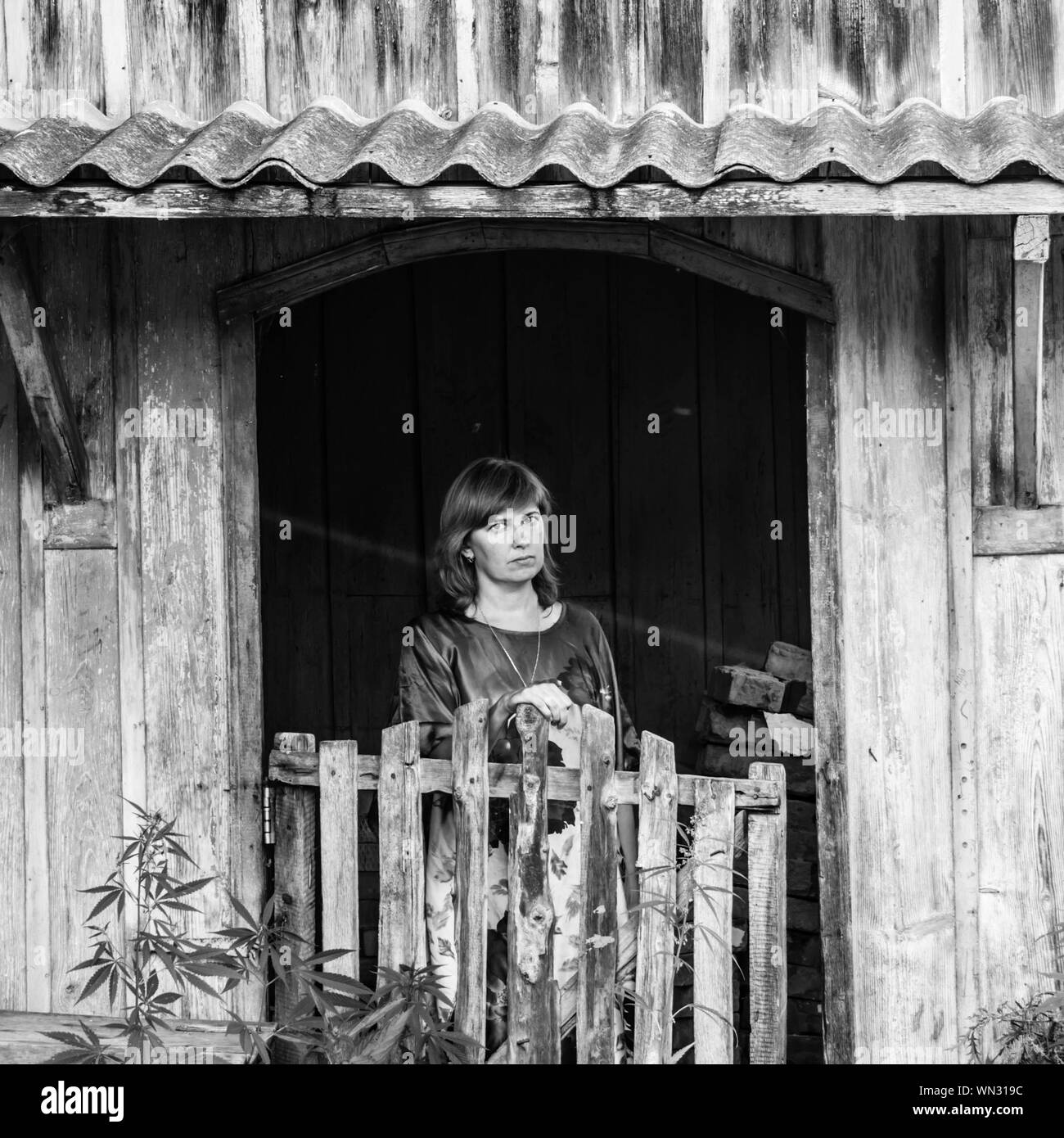 The old woman in the wood hi-res stock photography and images - Alamy