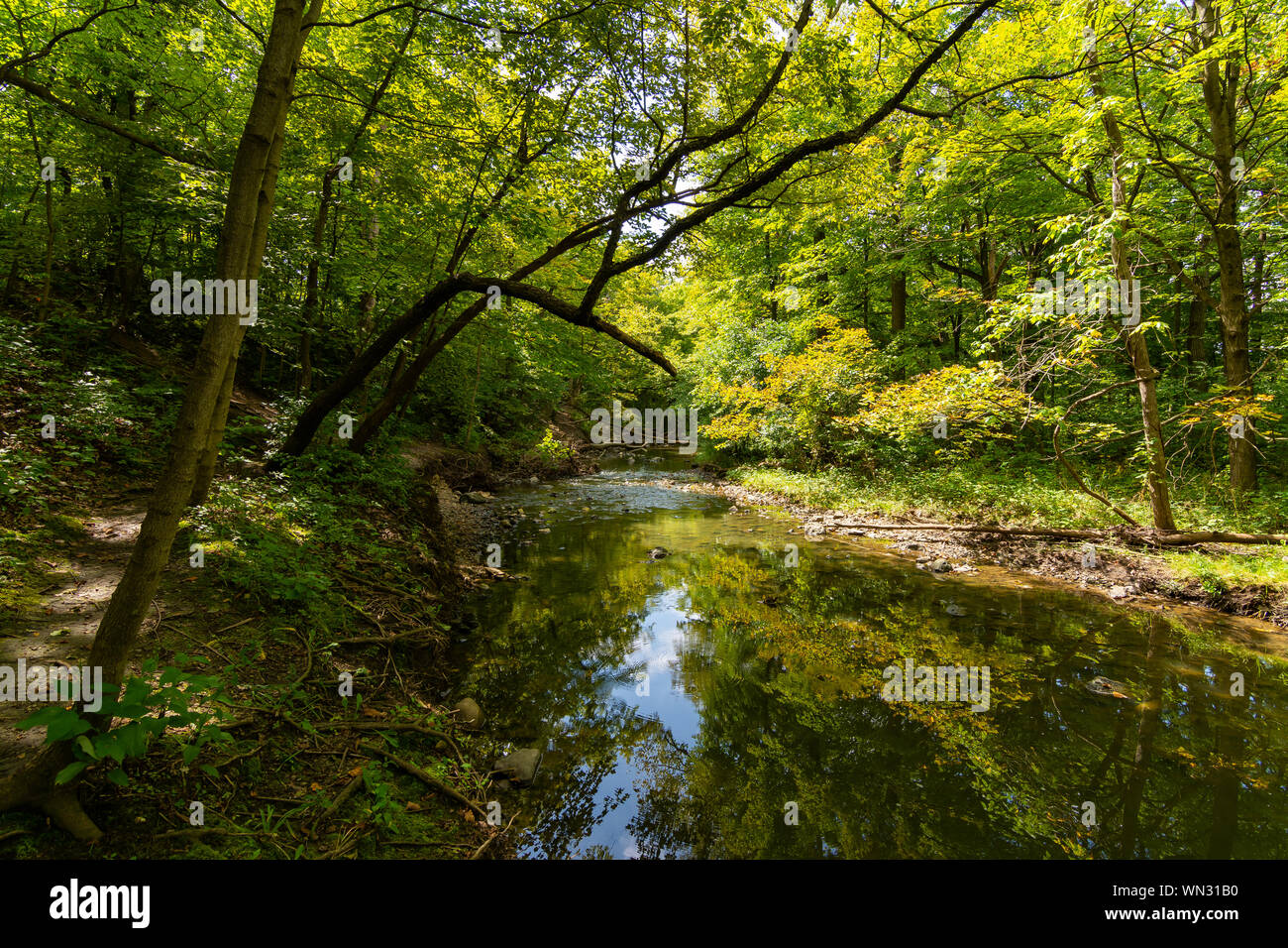 Stream running through Waterfall Glen Forest Preserve. DuPage County ...